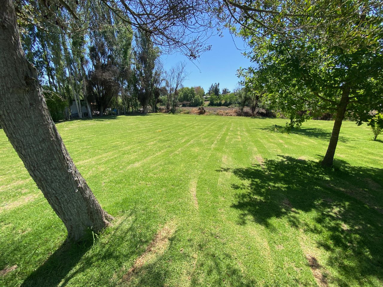 Quinchos Premium | Foresta Melipillan